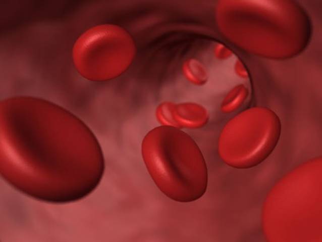 Fig. 10 Sketch of 3Dred blood cell modeling in a blood vessel
